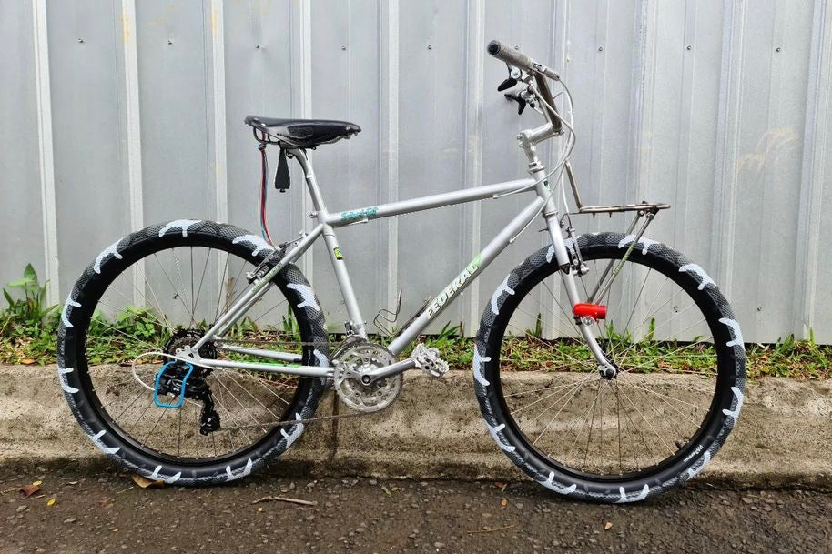 Federal Street Cat "Rick n Morty" by Ali Sopan